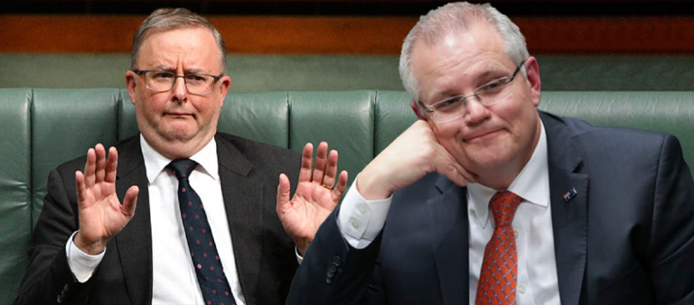 Methods and Accuracy of Political Polls in Australia - Zee Feed